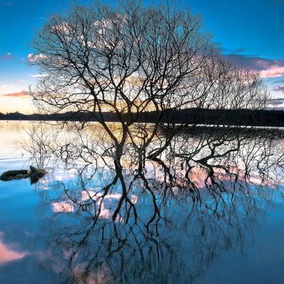 lake reflection sunset evening - KDE Store