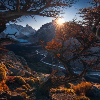 sunrays nature mountain trees - KDE Store