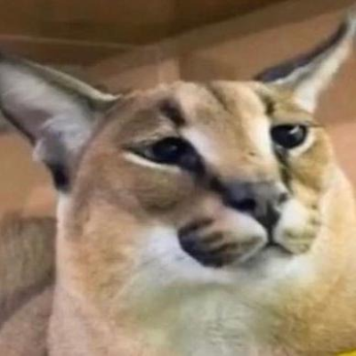 LeddaZ's ROMs - KDE Store