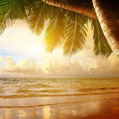 Beach and Sunset - KDE Store