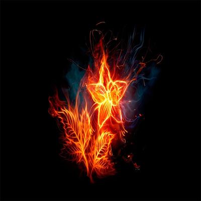 BORN IN FIRE - KDE Store