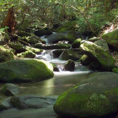 water stream - KDE Store
