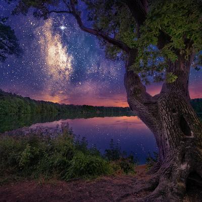 twilight - KDE Store