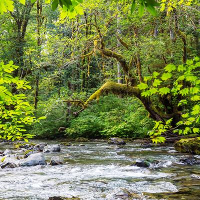 water stream - KDE Store