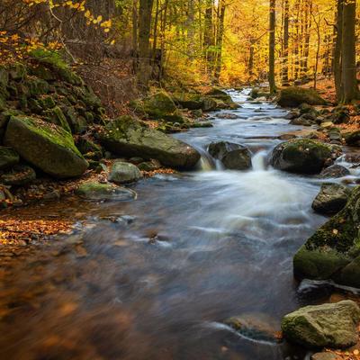 water stream - KDE Store