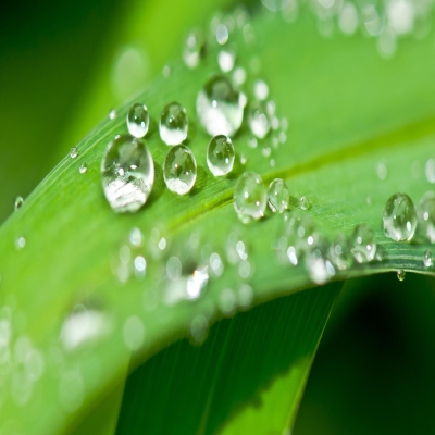 rain drops - KDE Store