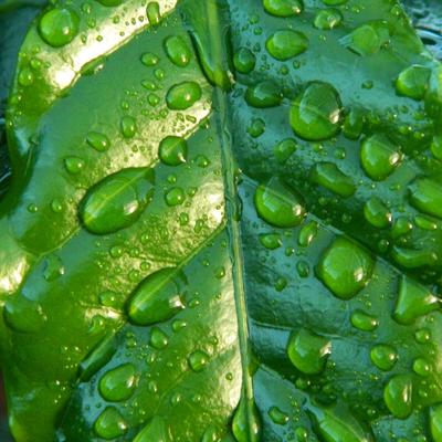 water drops - KDE Store