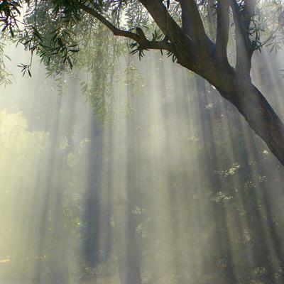 sun light rays - KDE Store