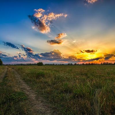 sun rays - KDE Store