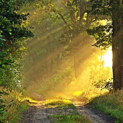 sunlight - KDE Store