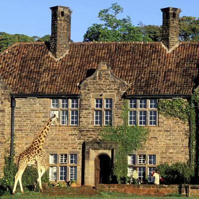 house - addons.videolan.org