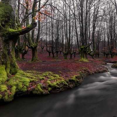 water stream - KDE Store