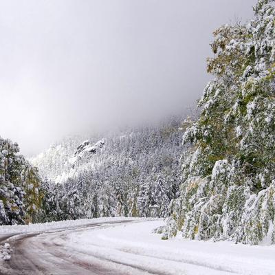 winter road - KDE Store