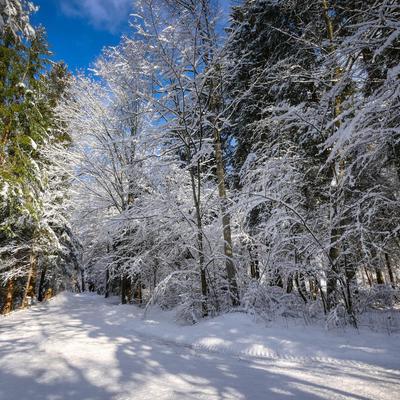 winter road - KDE Store