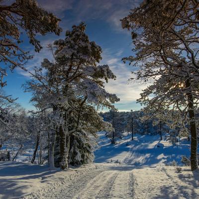 winter road - KDE Store