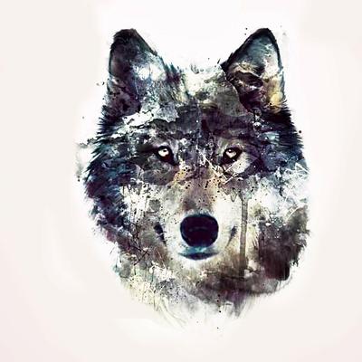 wolf - KDE Store