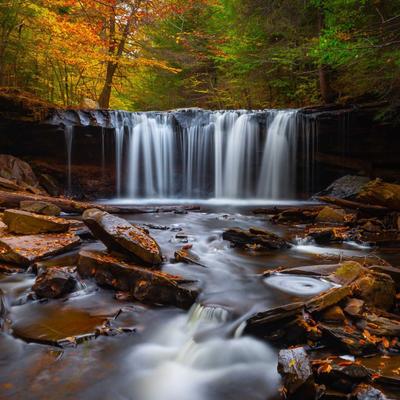 Forest Waterfall Rocks Red Leaves Autumn Scenery 4k Ultra Hd - KDE Store