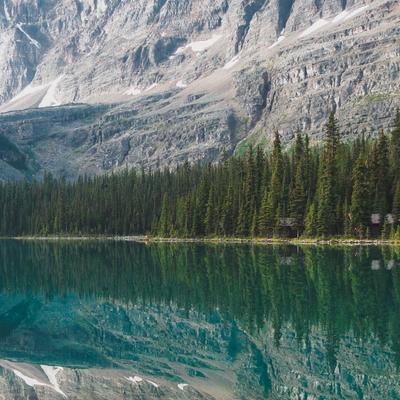 lake reflection Pine Forest - KDE Store