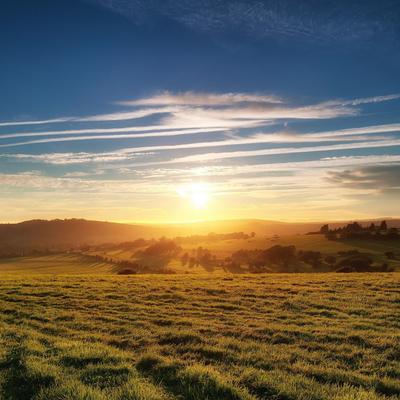 Green Grass Field Under Blue Clouds Sky In Sunrise - KDE Store