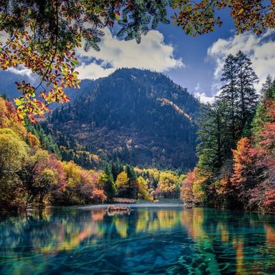 Lake Trees View Nature Desktop Mountains Mobile Cloudy Long - KDE Store
