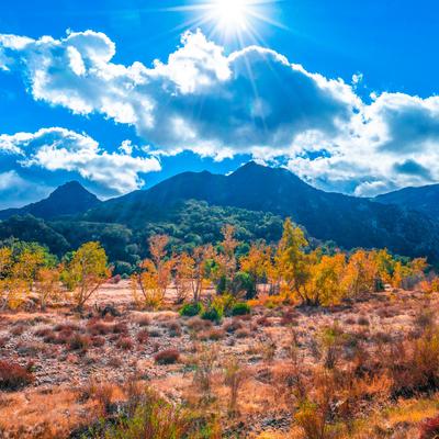 nature sunrays - KDE Store