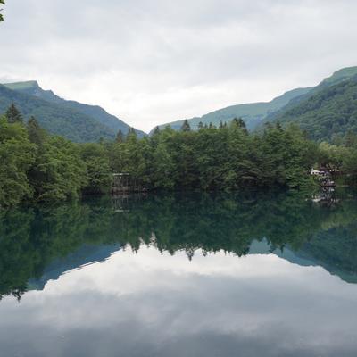 lake reflection green forest - KDE Store