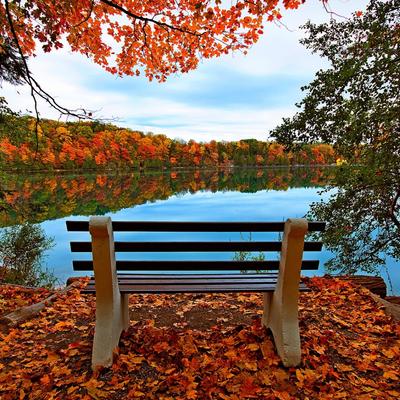 autumn lake bench - KDE Store