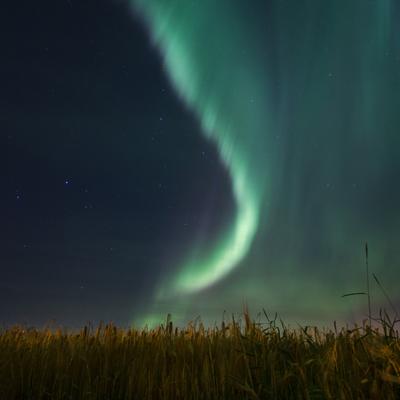 aurora nature - KDE Store