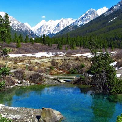 lake reflection pine forest - KDE Store