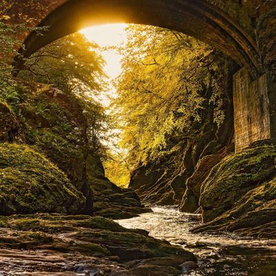 Nature sunrays - KDE Store