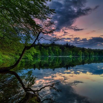 lake reflection dawn Sky Forest - KDE Store