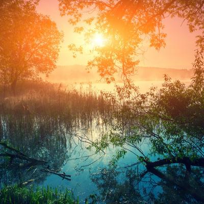 nature lake reflection sunrays forest - KDE Store