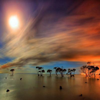 sunrays evening sunset golden - KDE Store