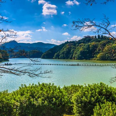 greens autumn forest the sky the sun clouds tree - KDE Store