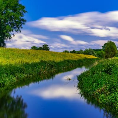 grass trees river meadow - KDE Store