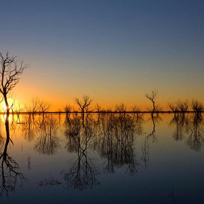 the sky water trees sunset reflection spring Nature - KDE Store