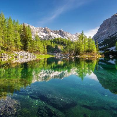 lake reflection nature pine forest - KDE Store