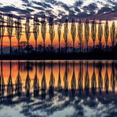 the sky water reflection trees sunset the evening - KDE Store