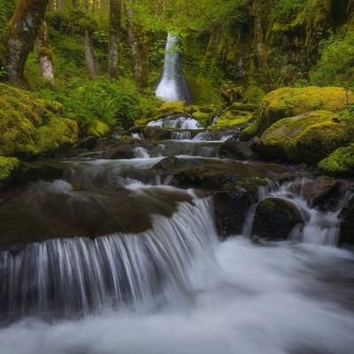 forest stream waterfall moss river Washington - KDE Store