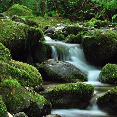 greens stream stones waterfall nature - KDE Store
