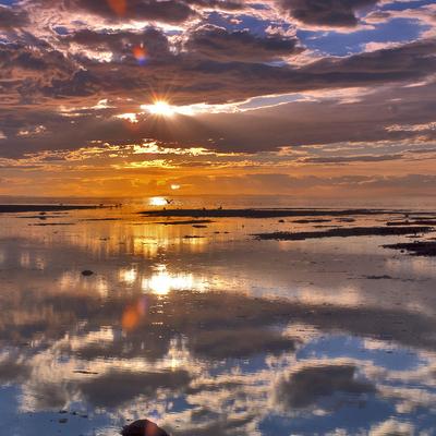 ocean sunset clouds birds reflections - KDE Store