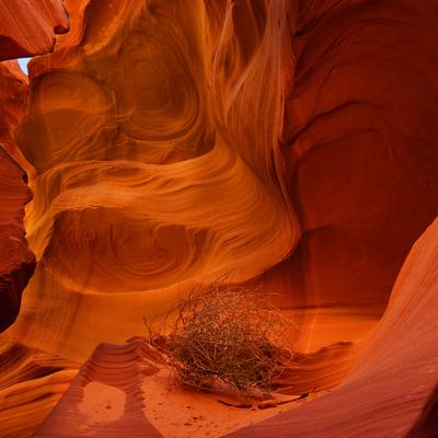 nature rocks plant canyon - KDE Store