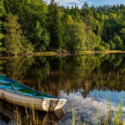 forest lake reflection boat Norway - KDE Store