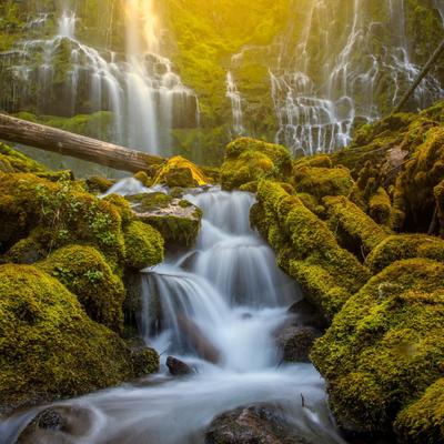 forest nature stones waterfall moss - KDE Store