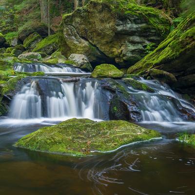 forest river stones waterfall moss Germany Bayer - KDE Store