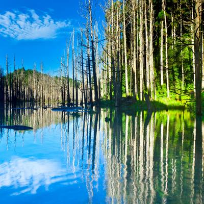 the sky trees mountains lake reflection - KDE Store
