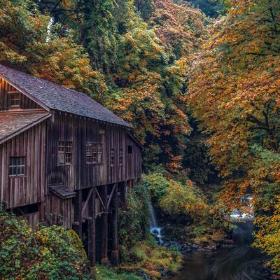 autumn forest river water reflection mill Washington - KDE Store