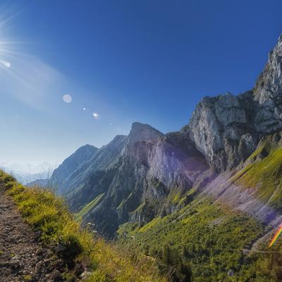 Nature forest the sun mountains path - KDE Store