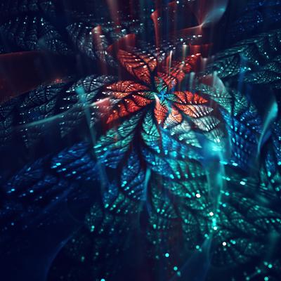 plant beauty glow fractal - KDE Store