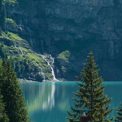 trees lake Switzerland ate Switzerland Bernese Alps - KDE Store